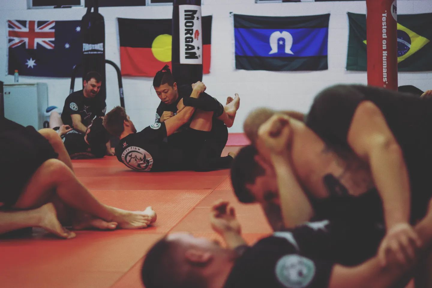 Submission Grappling (NOGI) – Bushido Flow MMA