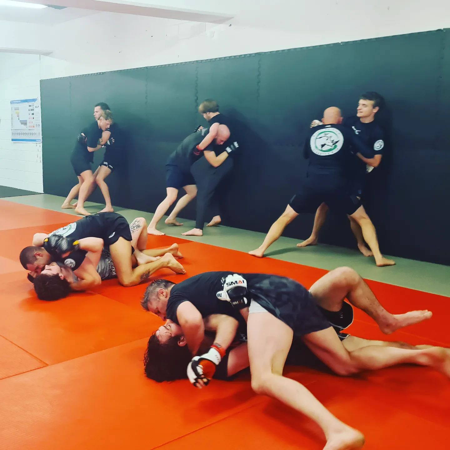 Bushido Flow MMA – 'Jiu-jitsu as a pathway to self-knowledge'